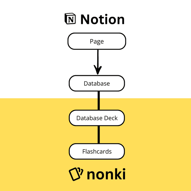 Getting Started with Nonki: Turn Notion Databases into Flashcards